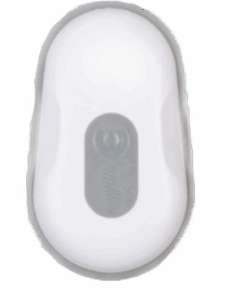 Strados Labs | Wearable Stethoscope & Respiratory Monitor